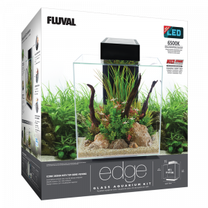 Free fish with purchase of Fluval Edge 6- or 12-gallon aquarium